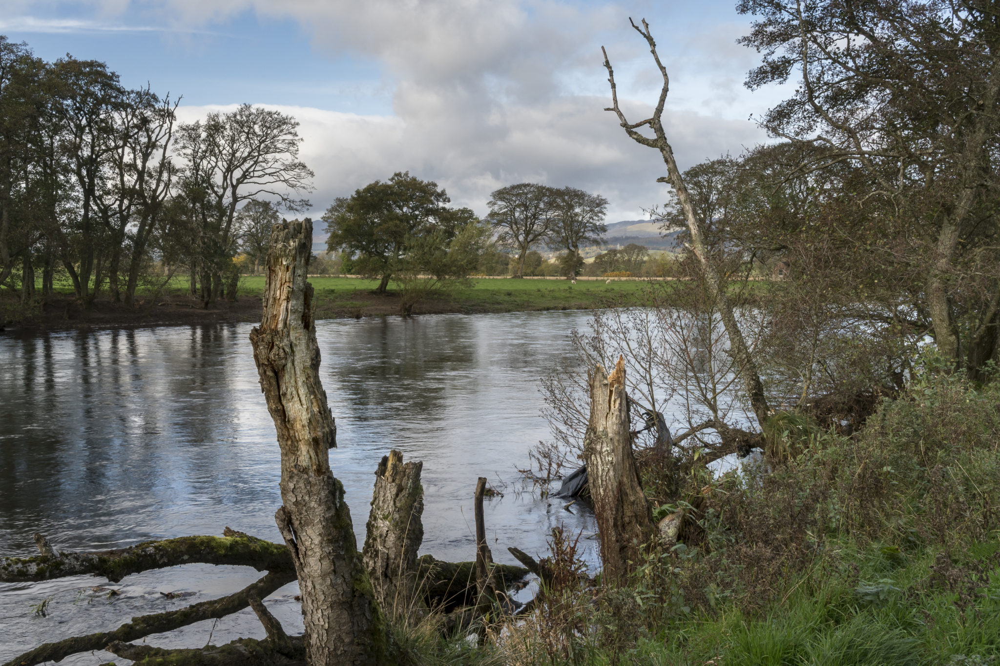 Homepage - Innerpeffray Library